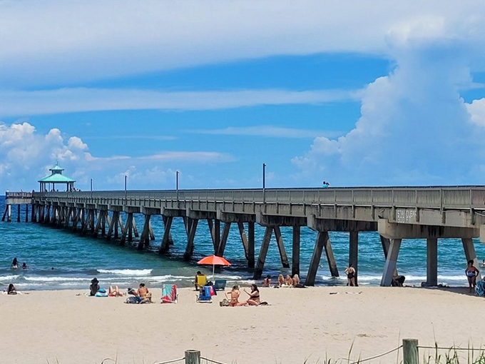 Beach umbrellas dot the shoreline like colorful mushrooms while the pier stands sentinel, a perfect backdrop for memories in the making.