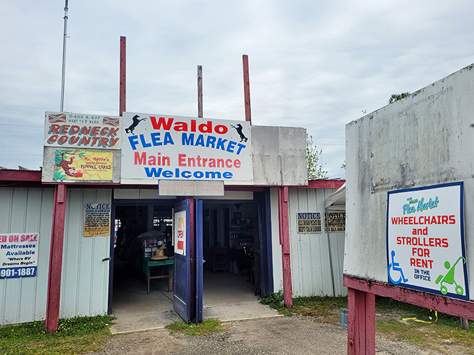 Stepping through the main entrance feels like crossing into a parallel universe where time slows down and the thrill of discovery takes over your senses.