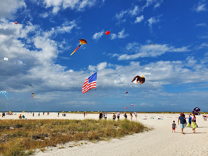Colorful kites dance against the blue sky, transforming Treasure Island's beach into a vibrant aerial playground for wind-chasers of all ages.