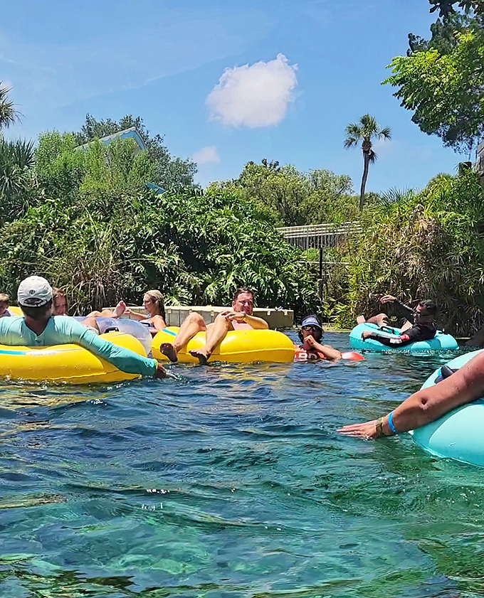 Lazy river, Florida style! Visitors float effortlessly on colorful tubes through refreshing spring waters, the ultimate summer relaxation technique.