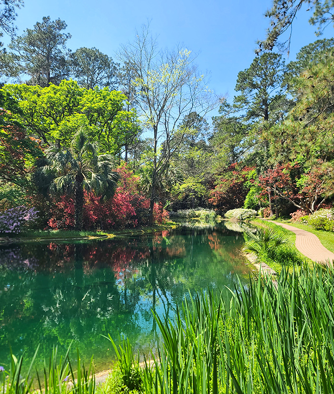 Sunlight dances across this tranquil reflection pool, where water mirrors sky in a perfect moment of Floridian serenity.