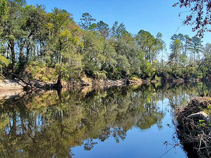 Where the trees admire themselves all day long in nature's most flattering mirror.