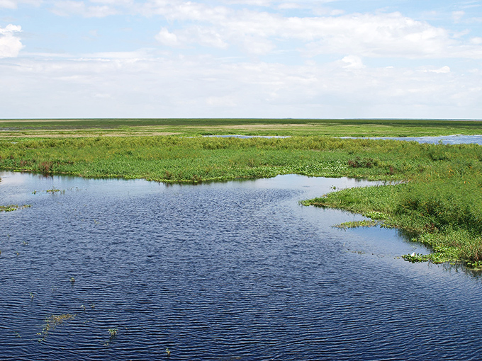 Nature's widescreen display: endless sky meets mirror-like water at this hidden Florida gem, no special effects needed.