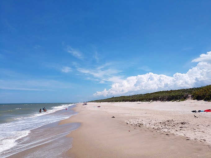 Miles of untouched shoreline stretch as far as the eye can see, offering a rare glimpse of Florida before developers discovered sunblock.