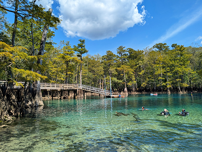 Sunlight dances through the crystalline waters, transforming ordinary swimming into an otherworldly experience that feels like flying.
