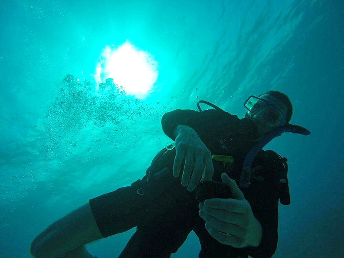 Diving into the blue at Molasses Reef feels like entering another dimension where gravity takes a vacation and fish become your new neighbors.
