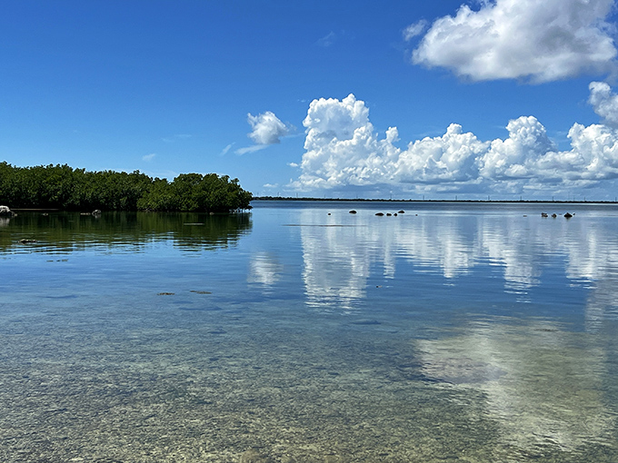 Mother Nature showing off again with that impossible blue gradient &ndash; from shallow aquamarine to deep navy where mysteries swim.