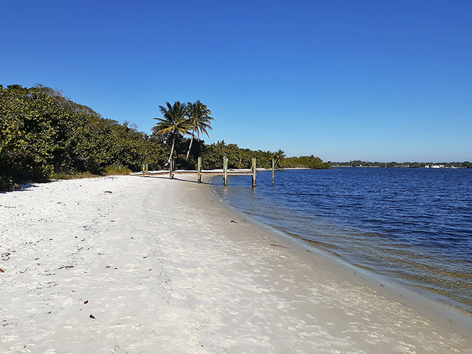Pristine white sand stretches along the shoreline, untouched by development &ndash; Florida's coastline as nature intended it to be.