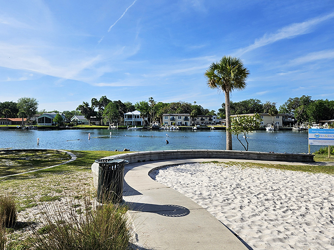 The pristine white sand beach offers a perfect lounging spot between refreshing dips in the springs' crystal-clear waters.