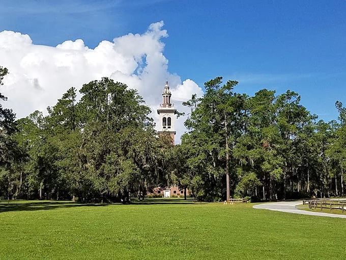 A glimpse through the trees reveals the majestic tower, like finding an architectural treasure in a forest of green.