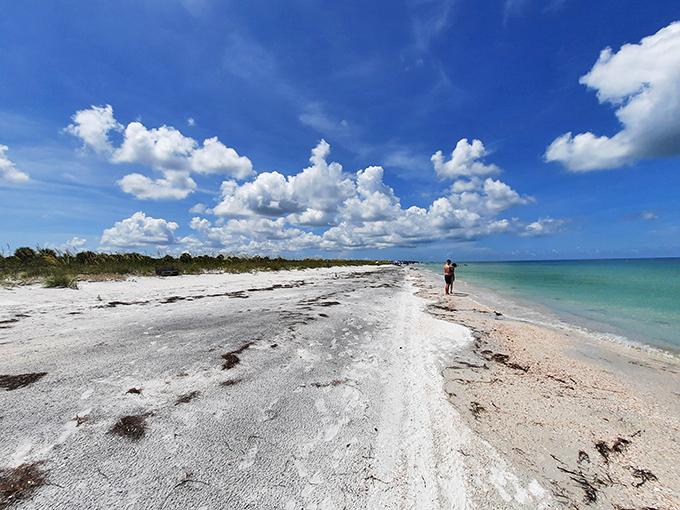 The unspoiled beach at Caladesi Island stretches into the distance, with natural vegetation and few visitors disturbing the scene.
