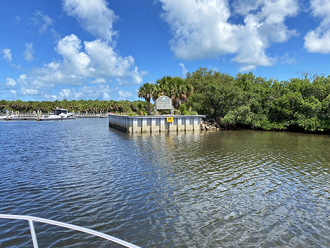 A wooden boardwalk winds through the coastal vegetation at Caladesi Island, protecting the fragile dune ecosystem.