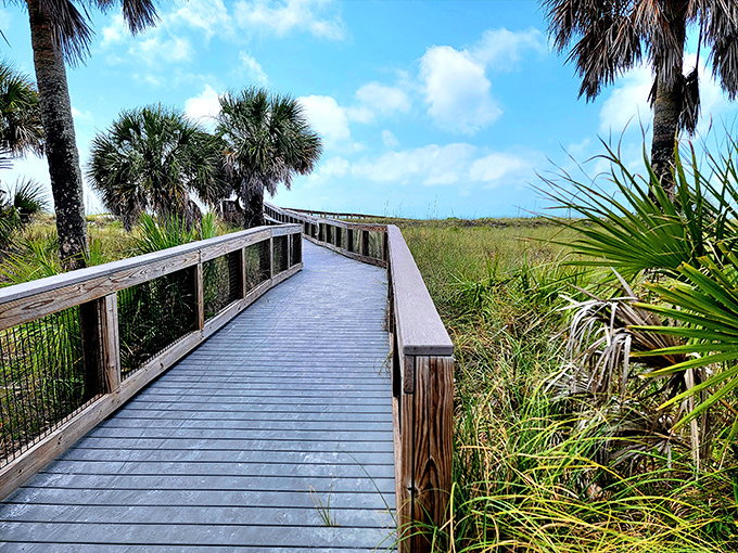 The historic fort at Fort De Soto Park offers a glimpse into Florida's past, with cannons still pointing out to sea.