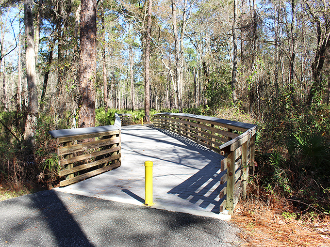The wooded trail at Big Shoals State Park offers a shady path for hikers exploring this unique Florida landscape.
