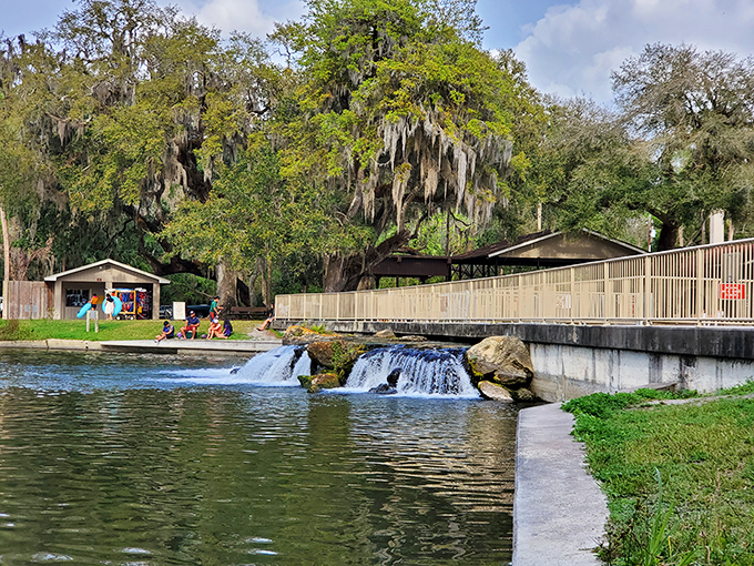 The historic water wheel at De Leon Springs State Park turns slowly beside the crystal-clear spring that has attracted visitors for generations.