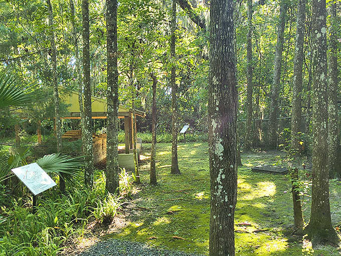 Nature reclaims what man built, with dappled sunlight filtering through a cathedral of trees surrounding the historic site.