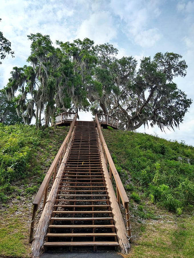 Ancient temple mound stairs climb toward the sky, where Spanish moss-draped trees have witnessed centuries of Florida history.