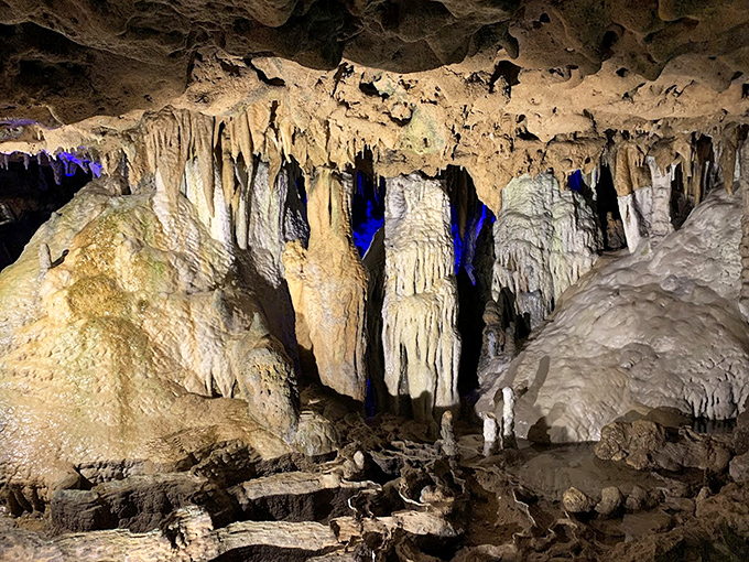 Nature's cathedral! These ancient limestone formations in Florida Caverns State Park have been growing drop by drop for centuries, creating an underground wonderland.