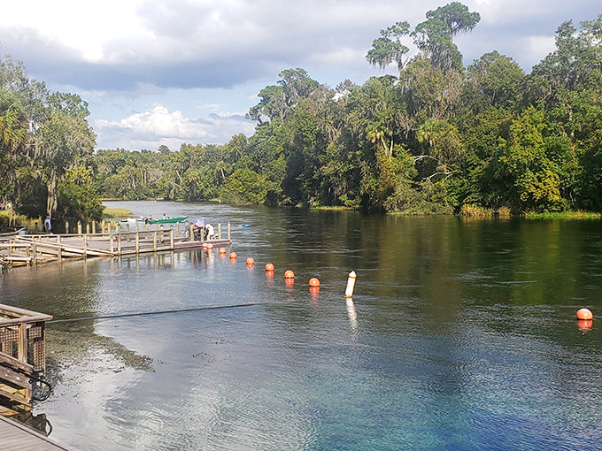 Rainbow Springs' wooden dock extends into calm waters where kayakers paddle through nature's perfect reflection.