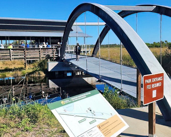 Cross the bridge! You're about to explore the beautiful, wild wetlands and natural Florida at Fakahatchee Preserve State Park.