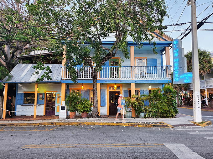 The two-story wooden structure of Blue Heaven stands as a colorful oasis in Key West, where breakfast under the trees has become a ritual for visitors in the know.