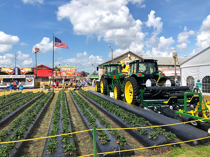 The Florida Strawberry Festival brings agricultural pride to Plant City with displays, equipment, and of course, plenty of berries to sample.