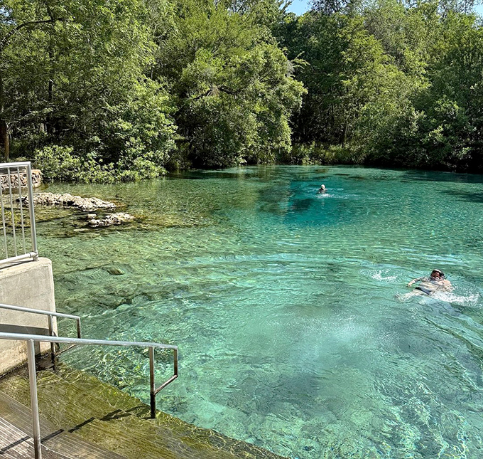 Ichetucknee's pristine waters offer a window to an underwater world, where visibility stretches far beyond what seems possible.