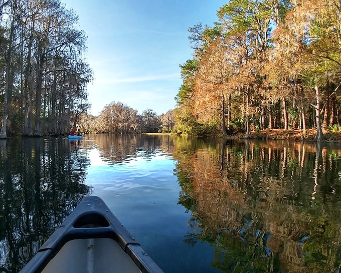 Canoeing through Rainbow Springs offers a peaceful journey beneath towering trees with sunlight filtering through the canopy.