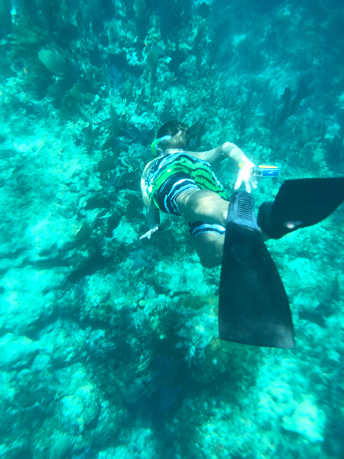 Exploring Florida's underwater treasures requires nothing more than a mask, fins, and sense of adventure. This snorkeler discovers why they call it the Sunshine State even below the surface.