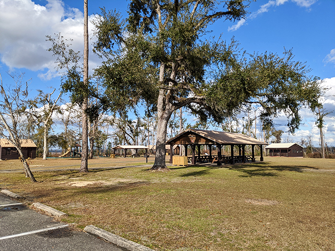 A rustic picnic pavilion at Torreya State Park offers a shady spot to rest after hiking the park's challenging trails.