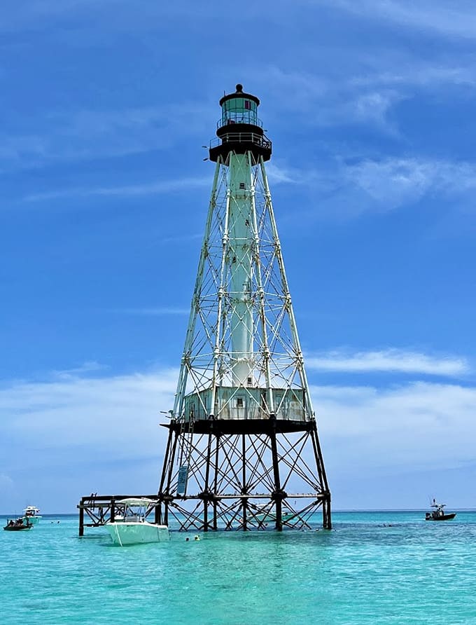 That skeletal frame isn't just for show; it's hurricane-proof engineering from an era when "weather-resistant" actually meant something impressive and lasting.