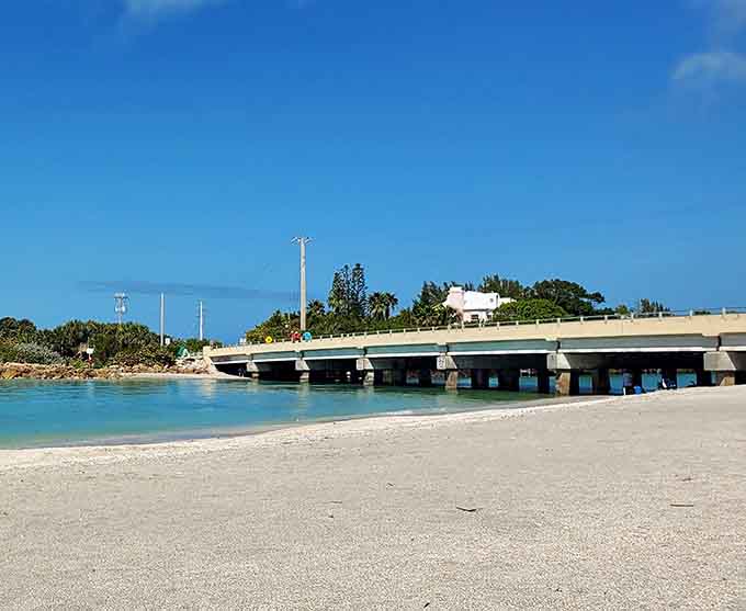 The bridge connects more than islands; it connects anglers to their happy place and fish to their doom.