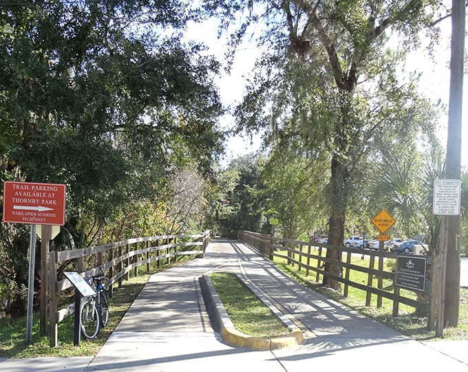 The boardwalk stretches into green infinity, inviting explorers to venture deeper into Florida's enchanted forest.