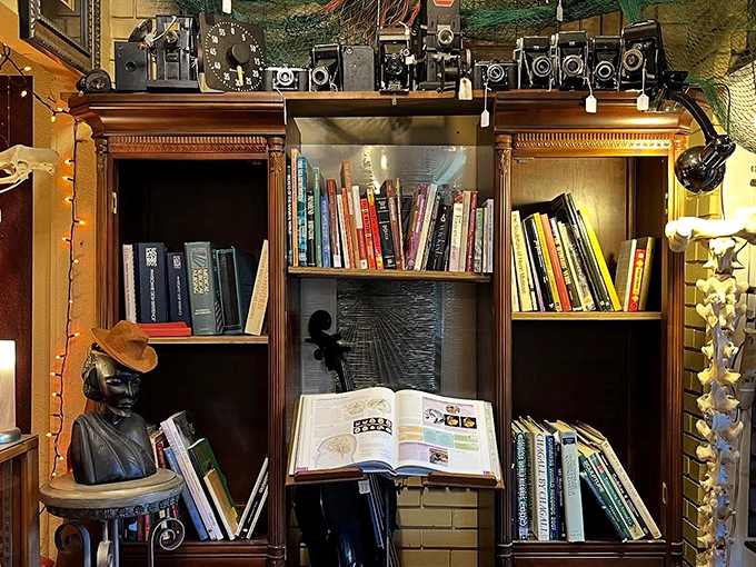 Knowledge from another era fills these wooden shelves, surrounded by vintage cameras that once captured moments now lost to time.