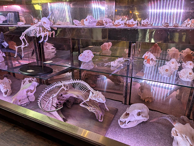 When your interior designer asks "animal, vegetable, or mineral?" and you answer "yes, all of them, everywhere."