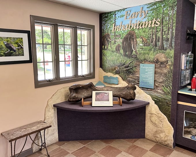 The exhibit hall brings ancient Florida to life, showcasing a time when mastodons, not tourists, were the big visitors to these springs.