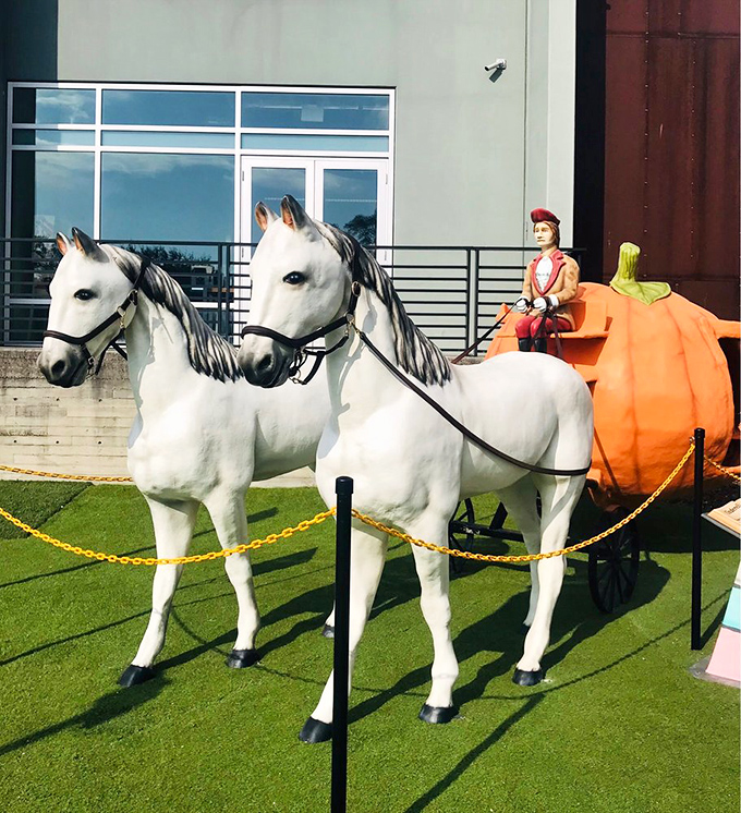 Cinderella never had it so good &ndash; this pumpkin carriage with pristine white horses awaits guests, no fairy godmother required.