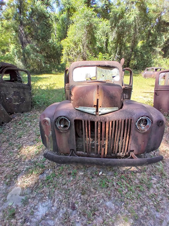 This old Ford pickup stares through time with hollow headlight eyes, its grille forever frozen in a metallic grin.