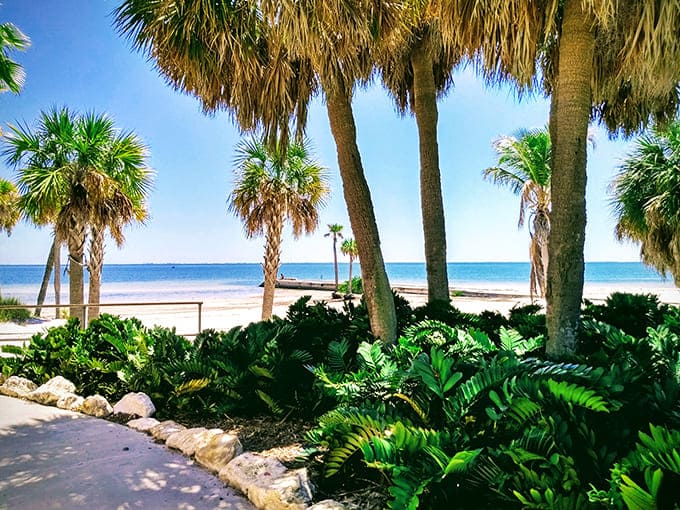 Where tropical paradise meets Tampa Bay, palms frame perfect waterfront views that'll make your Instagram followers seriously jealous.