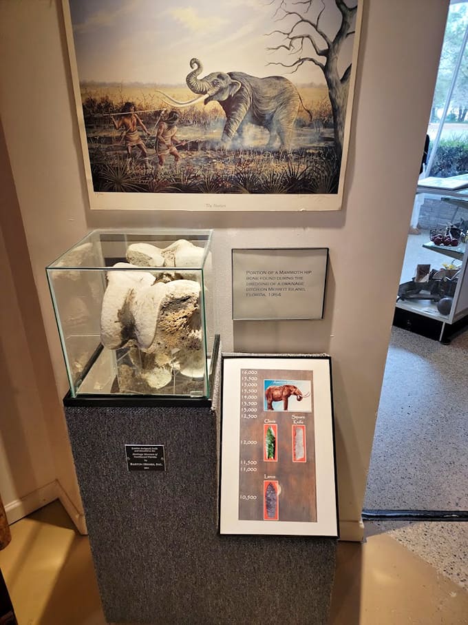 Standing face-to-face with a genuine mammoth hip bone makes you grateful these gentle giants aren't around for parking lot encounters.