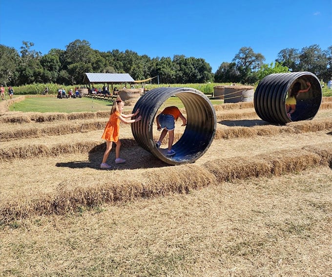 Who needs expensive playground equipment when you've got giant tubes and hay bales? Farm fun at its finest!