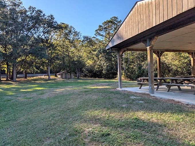 The pavilion and open areas offer ideal spots for family gatherings where the entertainment is literally thousands of years old.
