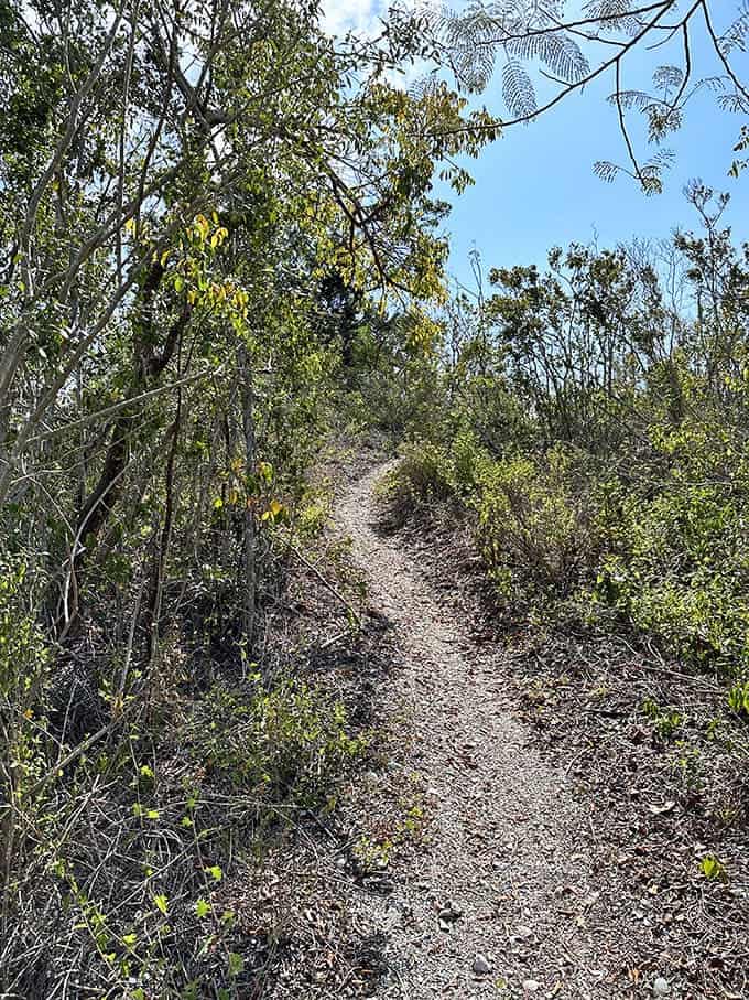 This trail has seen more history than most museums, and it doesn't even charge admission.