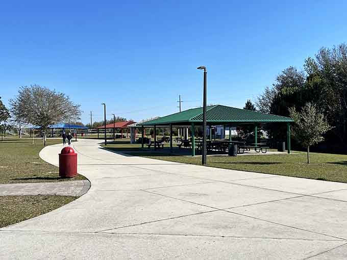 These covered pavilions are where birthday cakes meet barbecue smoke and family reunions become legendary, all with built-in shade for Florida's enthusiastic sunshine.