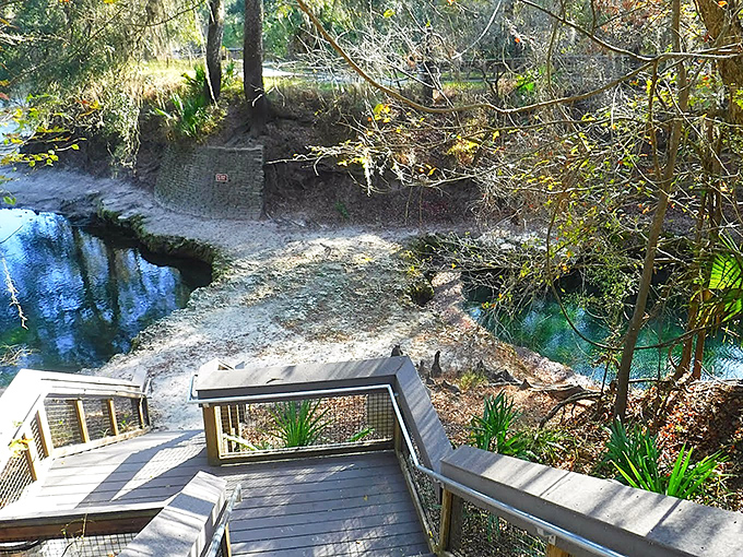 These wooden steps lead down to nature's version of a five-star resort pool, minus the overpriced cocktails and questionable DJ.
