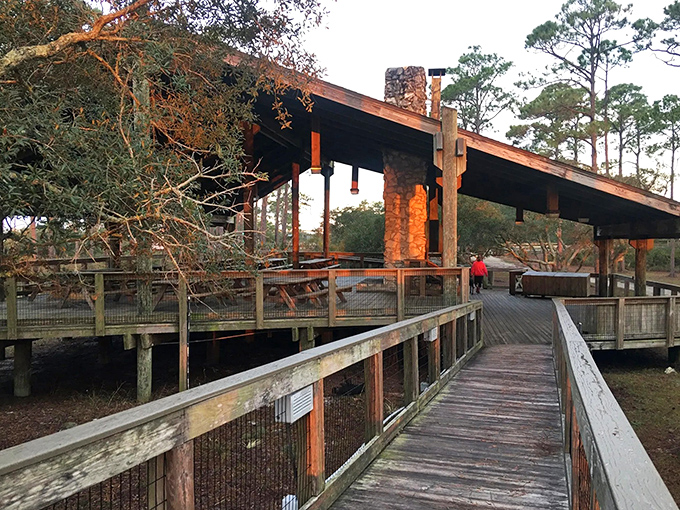 This rustic pavilion isn't just shelter from sudden Florida downpours &ndash; it's front-row seating to nature's greatest show, no tickets required.