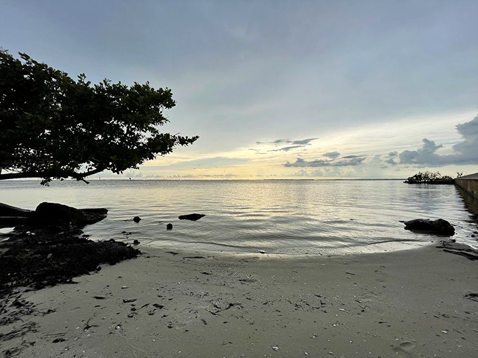 When the harbor looks this peaceful, you half expect a dolphin to pop up and ask if you've got any fish to spare for a hardworking marine mammal.