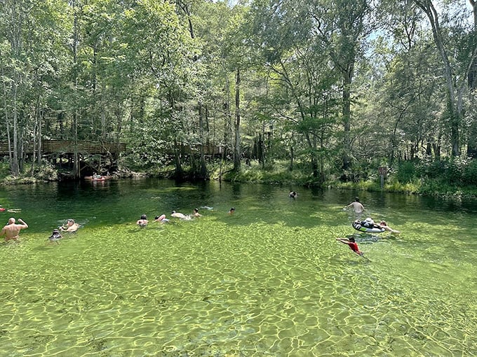 Swimmers float in liquid crystal as sunlight dapples through the canopy, creating nature's most refreshing escape from Florida heat.