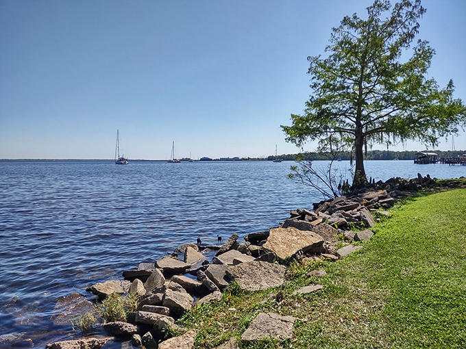 The mighty St. Johns River stretches toward the horizon, its calm waters reflecting centuries of Florida history and countless sunset stories.