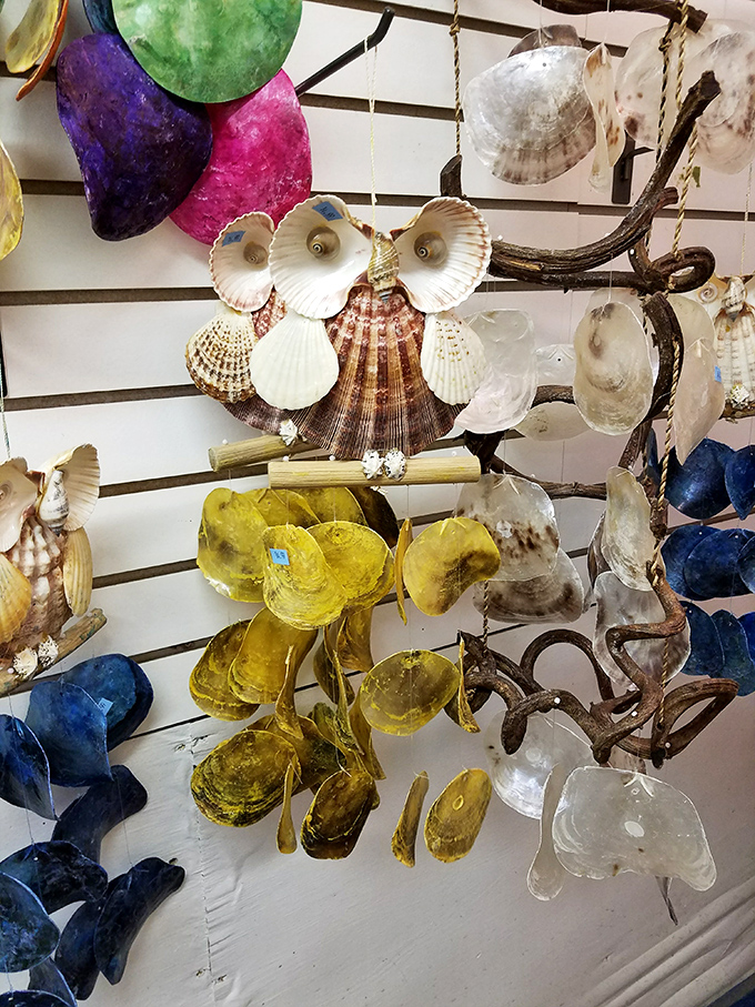 Whimsical shell creations transform ocean treasures into art – this owl-faced arrangement showcases the creative spirit that permeates the shop.